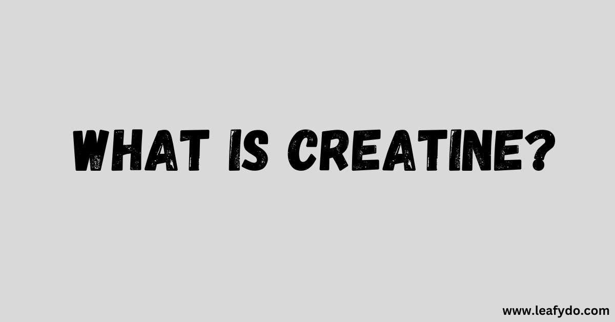 One Sol Creatine Review! Is it Good for Females?