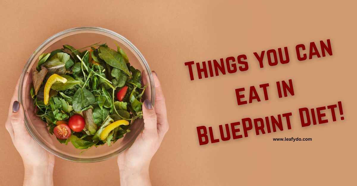 Blueprint diet: Recipe, Benefits & More