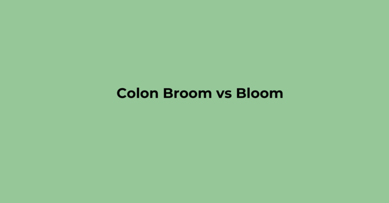 Colon Broom vs Bloom. Which is good for Digestion?